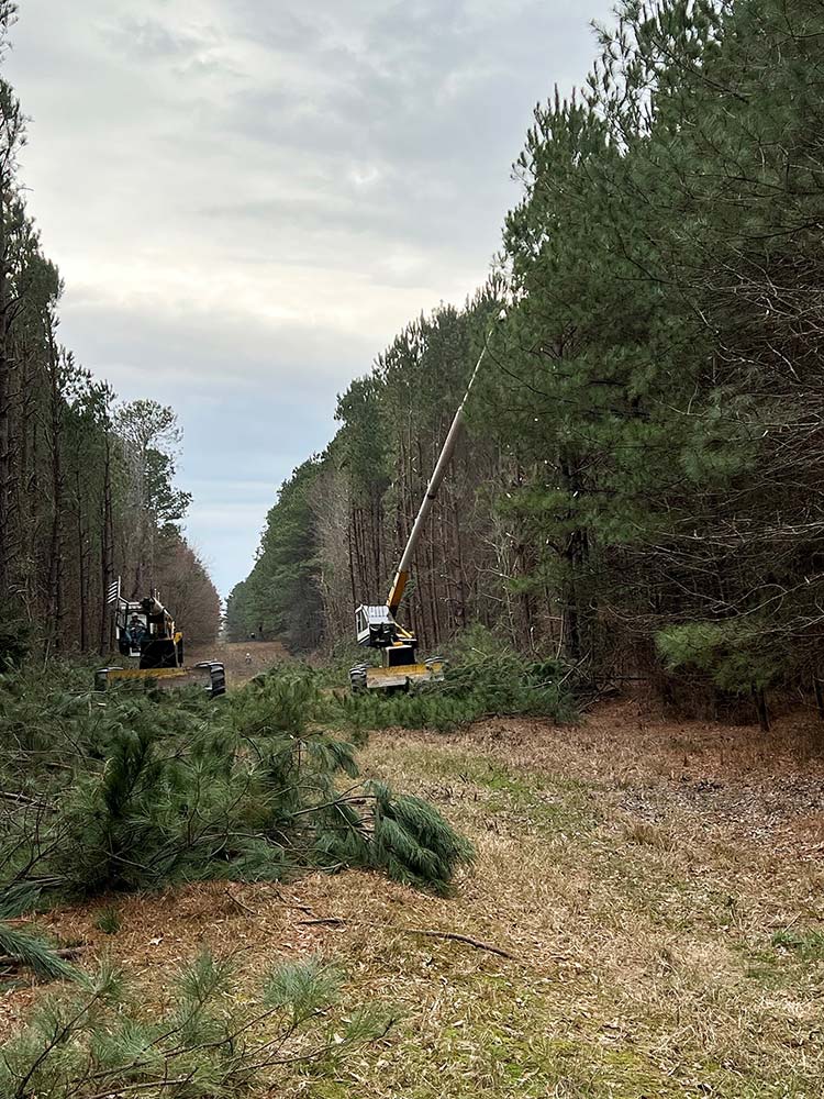 Vegetation Management – South Eastern Pipeline & Environmental Services